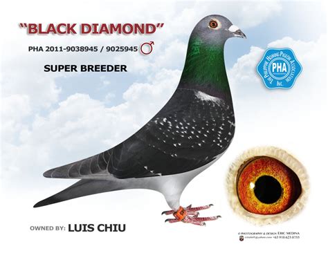 Auction Ended Luis Chiu Pepa