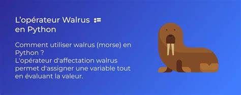 Lopérateur Walrus en Python Comment Coder