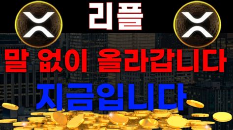 리플 순식간에 올라가는거 보여드립니다 Youtube