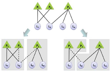 Bi Partite Graph Representation Of Gwas Data Vertices P1 P2 P3