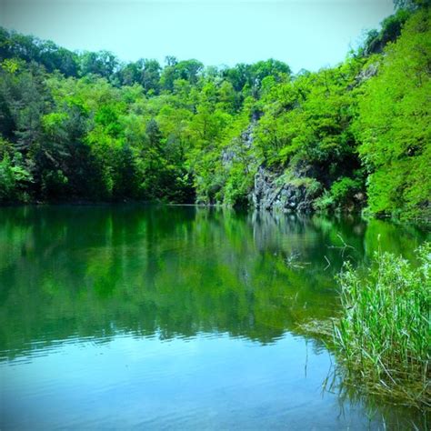 Stream Slow Slow Dreams Disquiet0645 By Rabmusiclab Listen Online For Free On Soundcloud