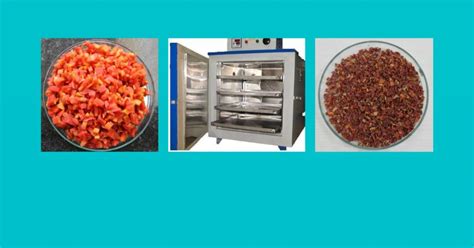 Determination Of Moisture Content By Oven Drying Method My E Blackboard
