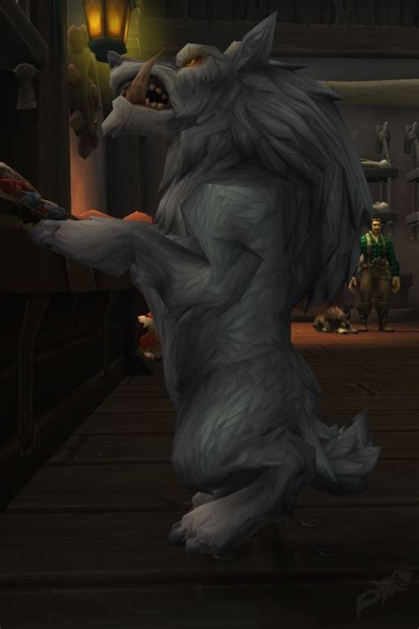Ronin Npc World Of Warcraft