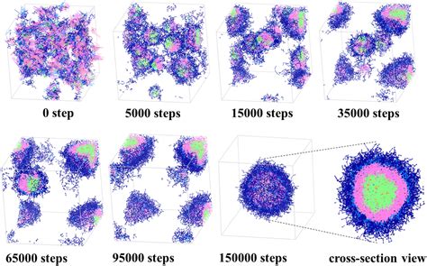 Mesoscopic Simulations Of Diselenide Containing Crosslinked Doxorubicin Loaded Micelles And