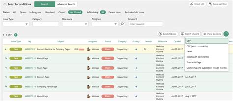 Backlog 101 Project Issues Page Faqs And Technical Support Nulab