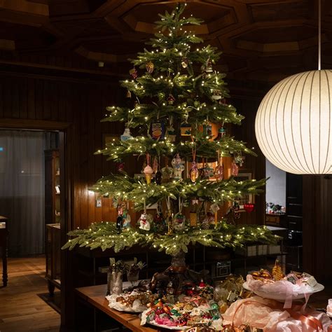 Point Of View ⠀ 〔 하얀 눈과 크리스마스 트리가 만나는 날 🎄 ️〕 ⠀ 첫눈은 겨울의 시작을 알리고 크리스마스 트리는 겨울의 사랑을 전합니다 포인트오브뷰