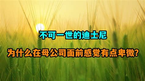 每天读书新千年的好莱坞不可一世的迪士尼为什么在母公司面前感觉有点卑微 YouTube