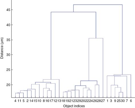 hierarchical cluster tree dendrogram for zoned arrangement
