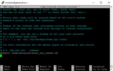 Gitea Ci Actions Runner And Workflow Automation
