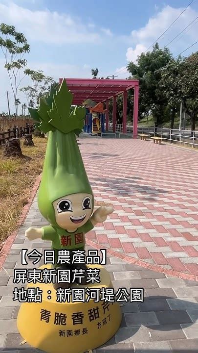 【今日農產品】青脆香甜芹菜 屏東縣新園鄉 新園河堤公園 Youtube