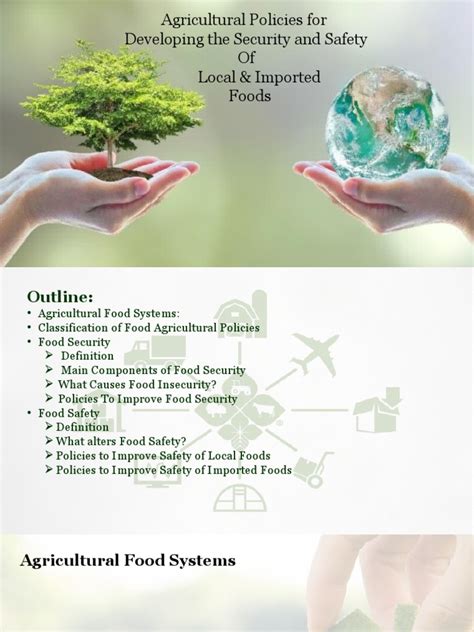 Topic 1 Zainab Mariam Nadine Katia 2 Pdf Food Safety Food Security