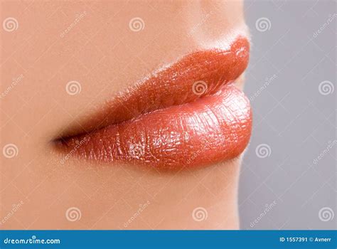 Amazing Lips Stock Image Image Of Close Modern Bride 1557391