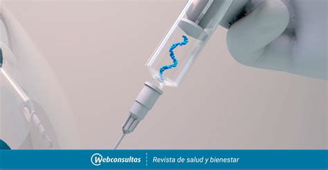 Así Funciona La Esperada Vacuna Arnm Contra El Cáncer De Moderna