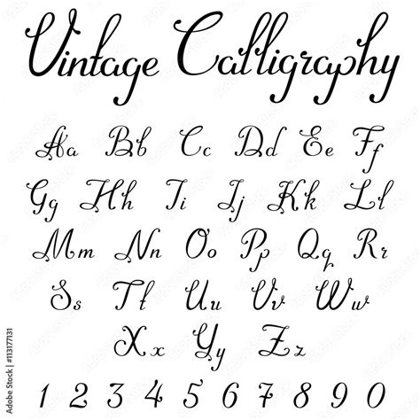 Vintage Calligraphic Script Font Vector Letters Numbers Symbols Stock