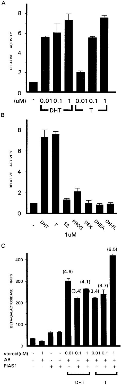 Androgen Dependence Of Pias1 Binding To Ar Amino Acids 481 919 Dna And