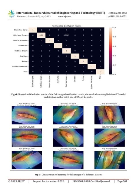 Automated Fish Species Detection Pdf
