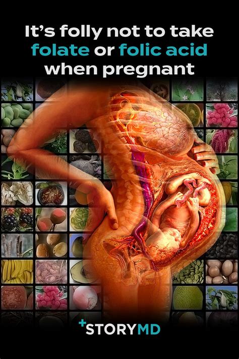 Folate And Folic Acid Whats The Difference And Why Are They So