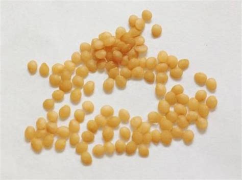 食用ほおずきの種販売 食用ほおずき「太陽の子」専門ショップ