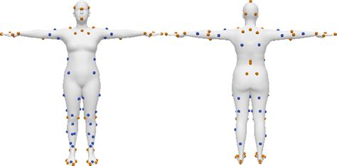 Figure From From Skin To Skeleton Towards Biomechanically Accurate D Digital Humans