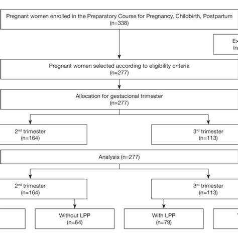 Study Distribution Flowchart LPP Lumbopelvic Pain Download