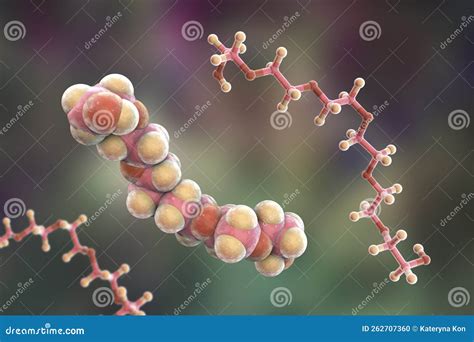 Polyethylene Glycol Hexaethylene Glycol Molecule 3d Illustration