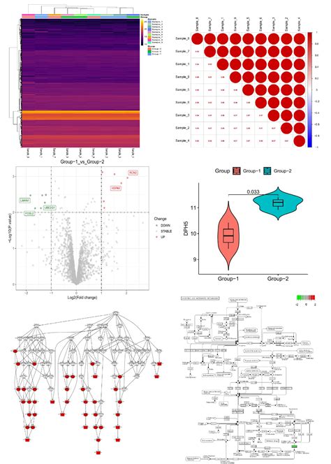 Extracellular Vesicle Proteomics Phosphoproteomics