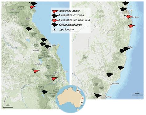 Updated Distribution Map Of The Australian Pygmy Grasshoppers