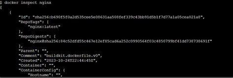Docker Compose And Yaml