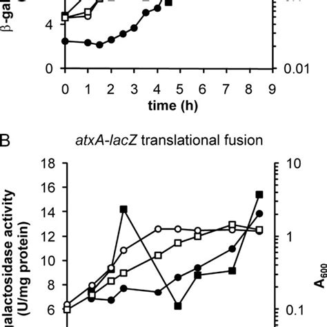 Cody Does Not Affect Transcription Or Translation Of Atxa