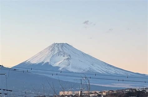 明けましておめでとうございます なんてもう年が明けて1週間たってしまいました。 昨夜大雨が降って、朝は雲に隠れていたのだけれど、夕方富士山が