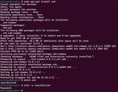 윈도우에서 Oh My Zsh 사용하기 Feat Wsl