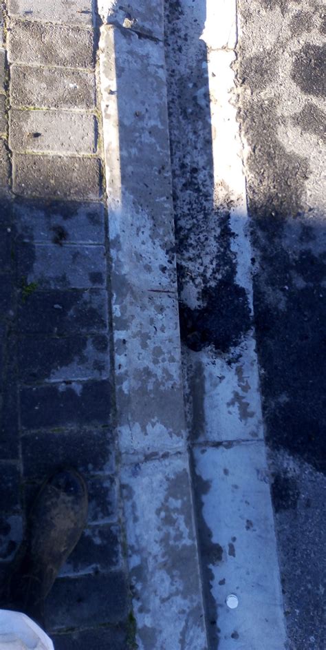 Doen Dit Nie Graag Want Bye Wil Trek Klein Begin Heuning