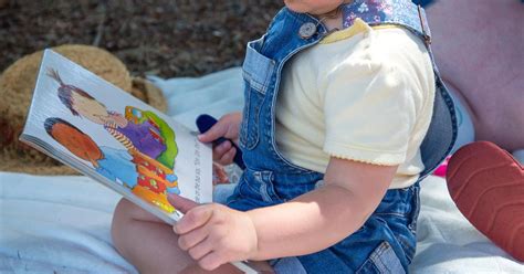 Bilingual Bimodal Approach To Language Acquisition Flying Colours