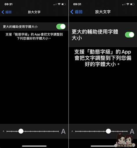 教學 Iphone 字體太小如何調大小、加粗？safair 如何調整網頁字體大小？