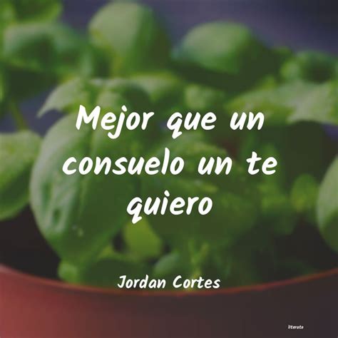 Frases No Quiero Perderte Literato