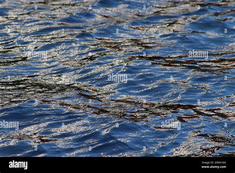 Patterns And Colours In Reflections Of Boats In Harbour Water Stock