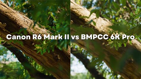 Canon S Clog3 Vs Blackmagic S Pro Res 4k Video Comparison Bmpcc6k