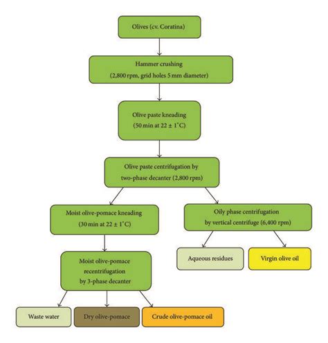Flowchart Of The Productive Process Of Virgin Olive Oil And Crude Download Scientific Diagram