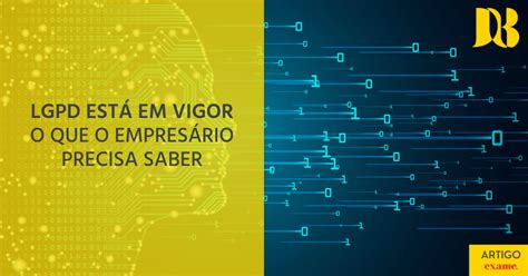 Lgpd O Que O Empresário Precisa Saber Dlb Advogados