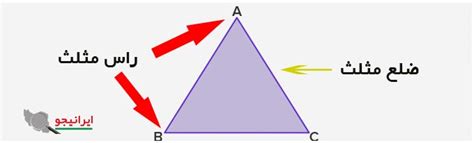 مثلث چیست؟ 🔻 تعریف مثلث و انواع آن راس،قاعده، محیط، مساحت