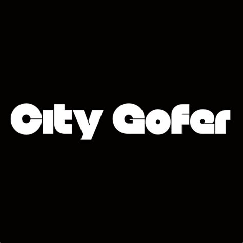 Build Excel Financial Model Forecasts Budget City Gofer Local Help