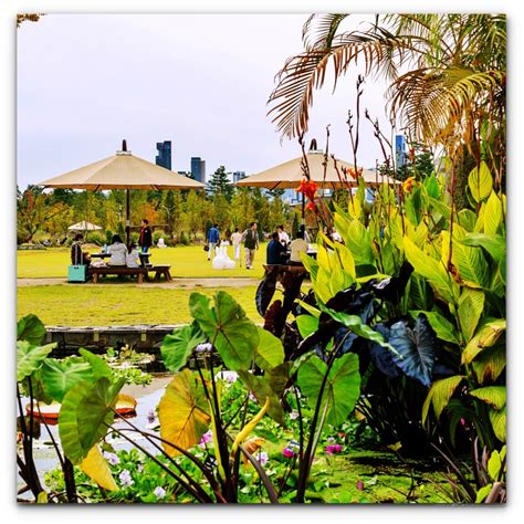 가을꽃축제 10월 11월 주말 여행지 세종 국립세종수목원 가을 여행 추천 아이와 가볼 만한 곳 가족 여행 네이버 블로그