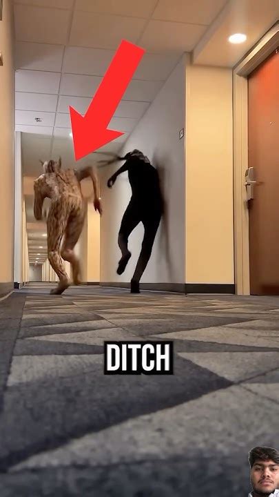 Shorts Youtubeshorts Viralvideo Shorts Youtube