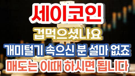 세이코인 겁먹으셨나요 개미털기 속으신 분 설마 없죠 매도는 이때 하시면 됩니다 Youtube