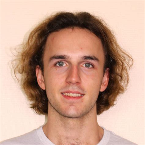 Robin Mochel Atomic Energy And Alternative Energies Commission 