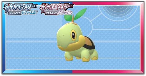 【ポケモンダイパリメイク】ナエトルの進化レベルとおすすめ性格【bdsp】｜ゲームエイト