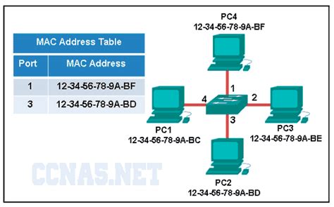 CCNA V Chapter Exam Answers