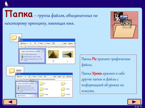 Файлы и папки презентация онлайн