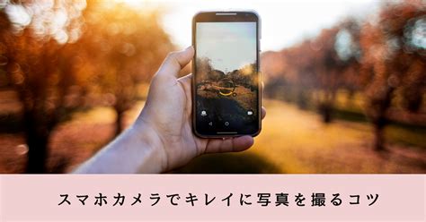 スマホで撮った大量の写真どうしてる？迷子になりがちな写真データをすっきり整理する方法！【写真整理術】 ぐりぶろぐ