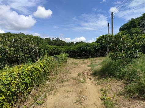 農地台南藝術大學優美都內農地台南市官田區官田 樂屋網 土地買賣